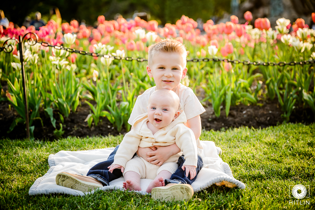 Hitlin Photography Inc. - Albany NY, Saratoga NY, Wedding Photographers